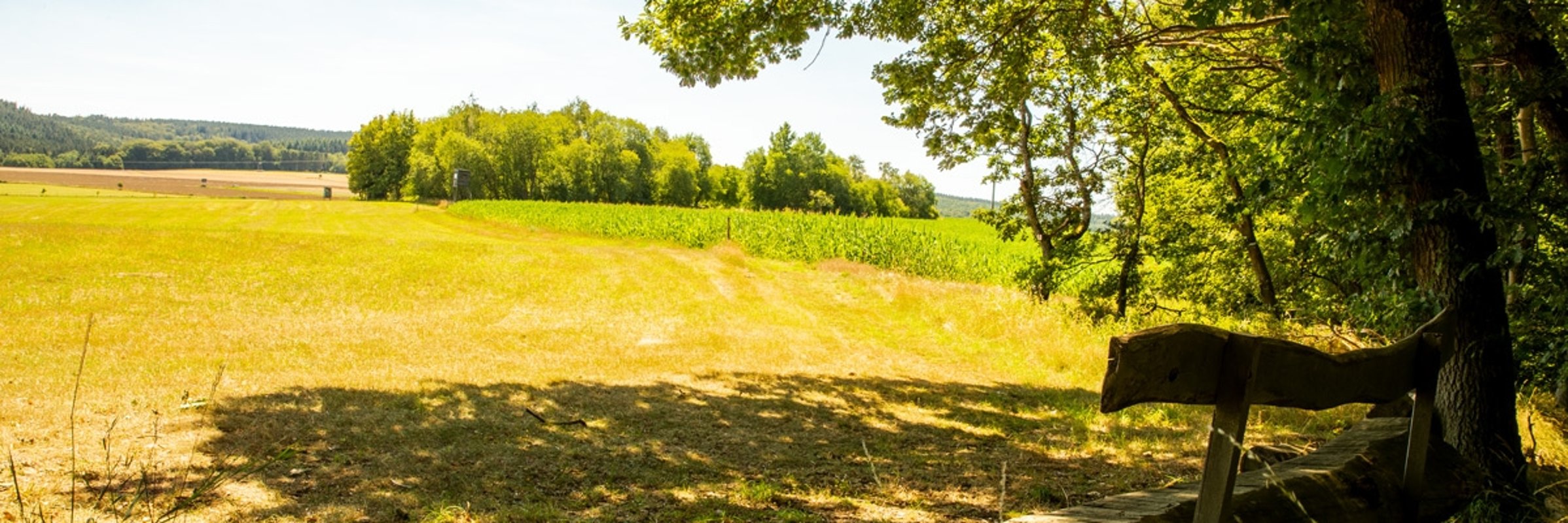 Mertesdorf | VG Ruwer