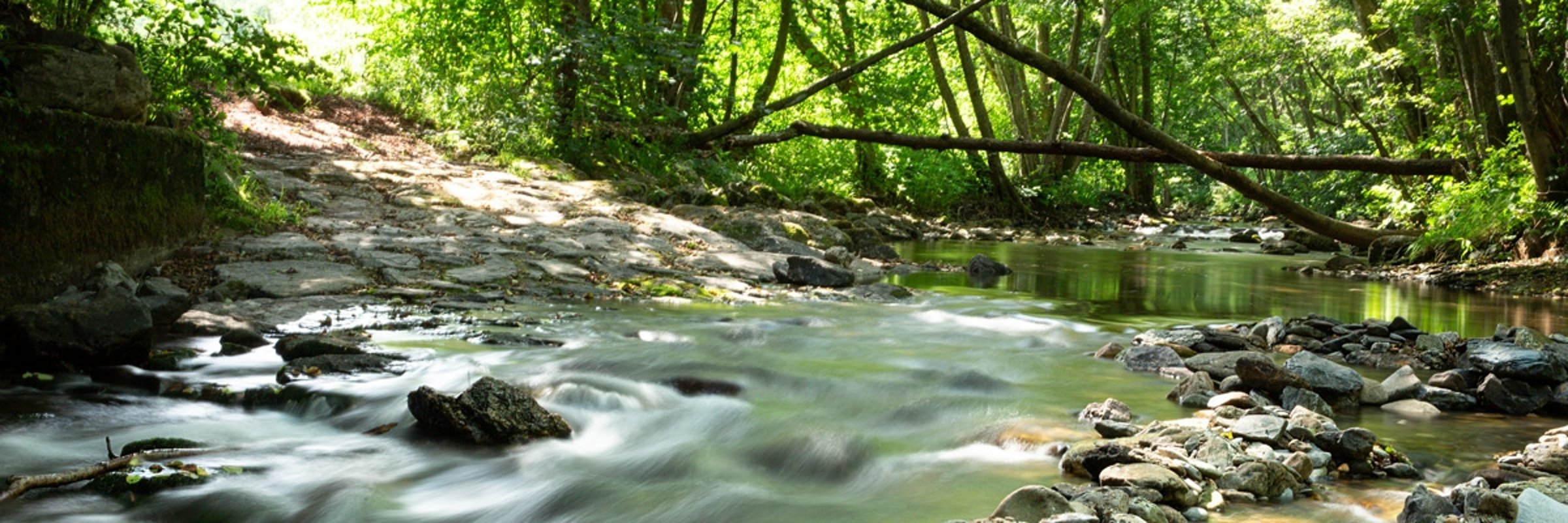 Themenwege RuT | Tourist-Information Ruwer