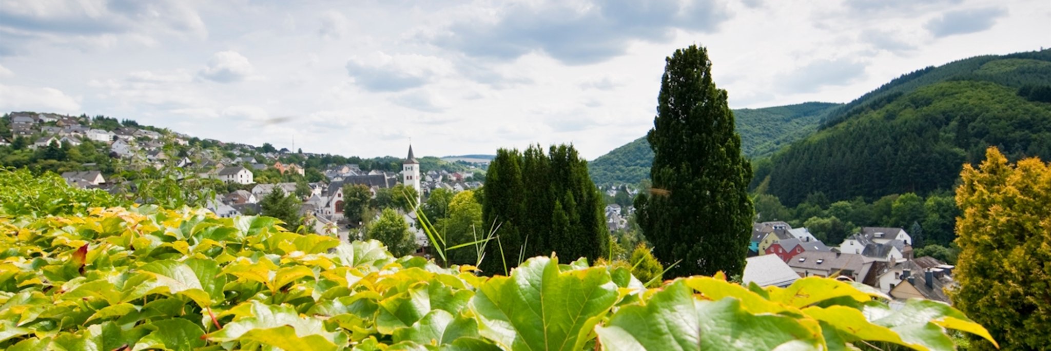 Waldrach | Tourist-Information Ruwer